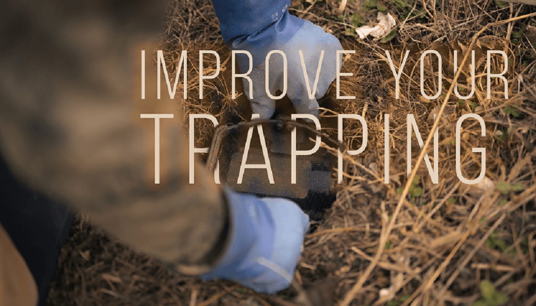 Improve Your Trapping with Trail Cameras